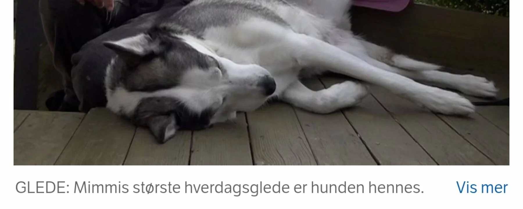 ️Jeg og Lava, vi takker så mye for hjelpen som vil gi oss litt mer ...