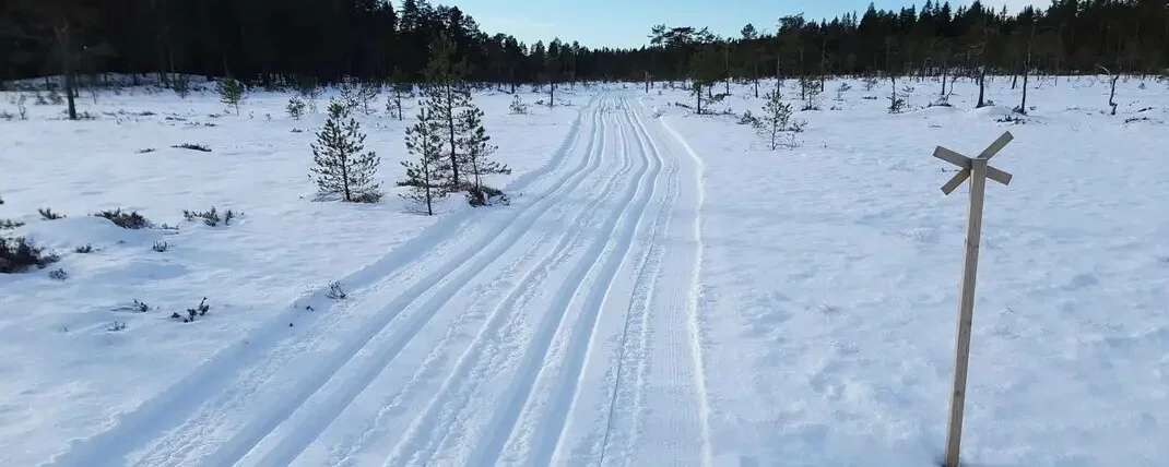 Støtt Snesbøl Grunneierlag til innkjøp av sporfres | Spleis fra SpareBank 1