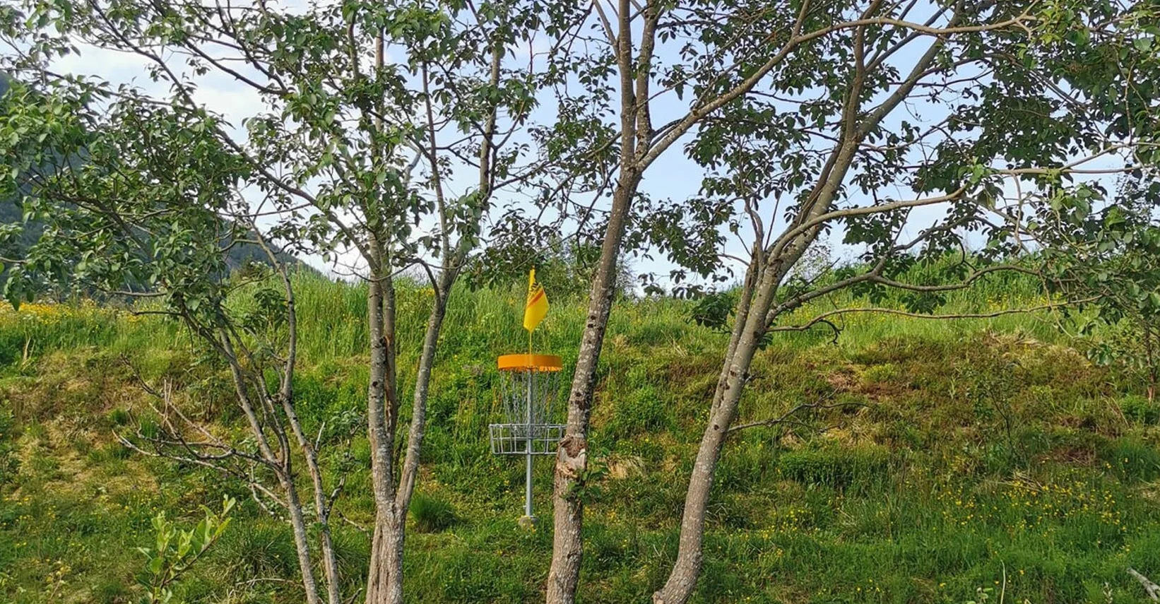 Støtt etablering av ny frisbeegolfbane | Spleis fra SpareBank 1