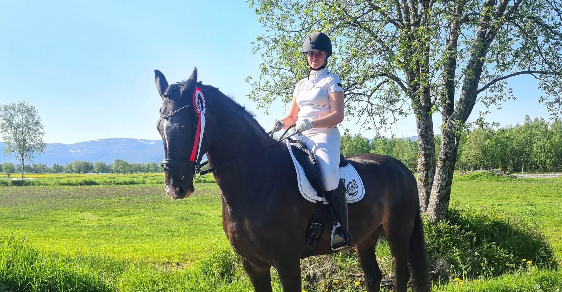 NM dressurridning 2023 Hannah/Art og Alvilde/Bella | Spleis fra SpareBank 1