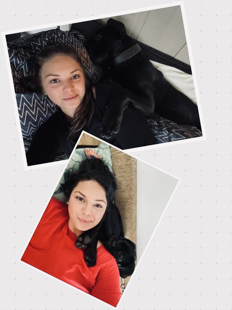 Hjelp meg med å redde Semb fra avlivning! | Spleis fra SpareBank 1