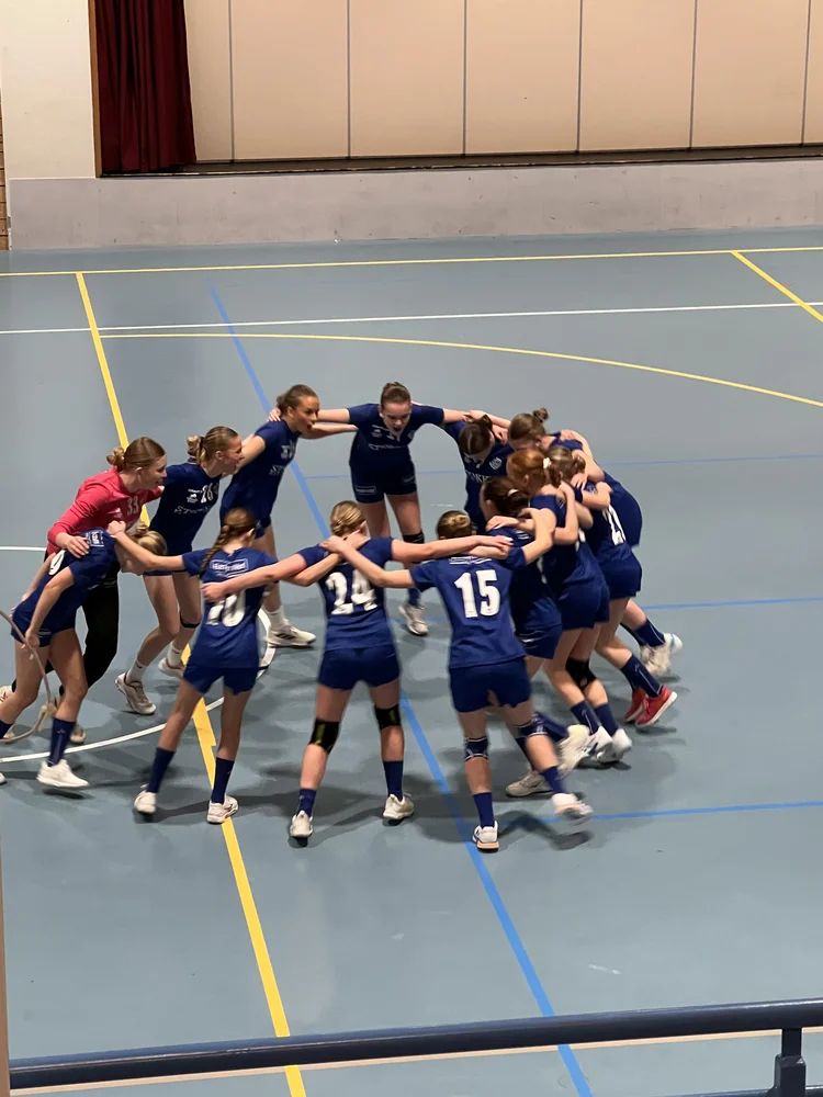 Hjelp J15 håndball på Hvaler med å nå drømmen om å delta på Granollers ...